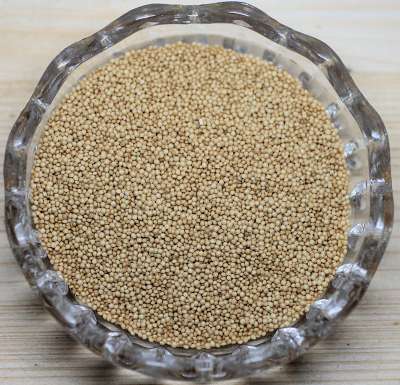 Amaranth kaufen MTG-Gewürze